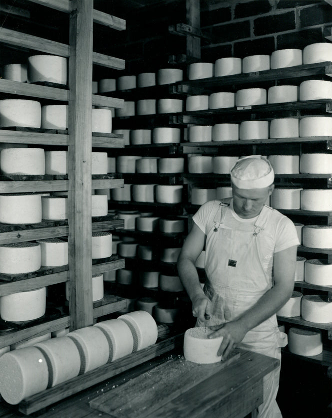 Our Story – Maytag Dairy Farms, LLC